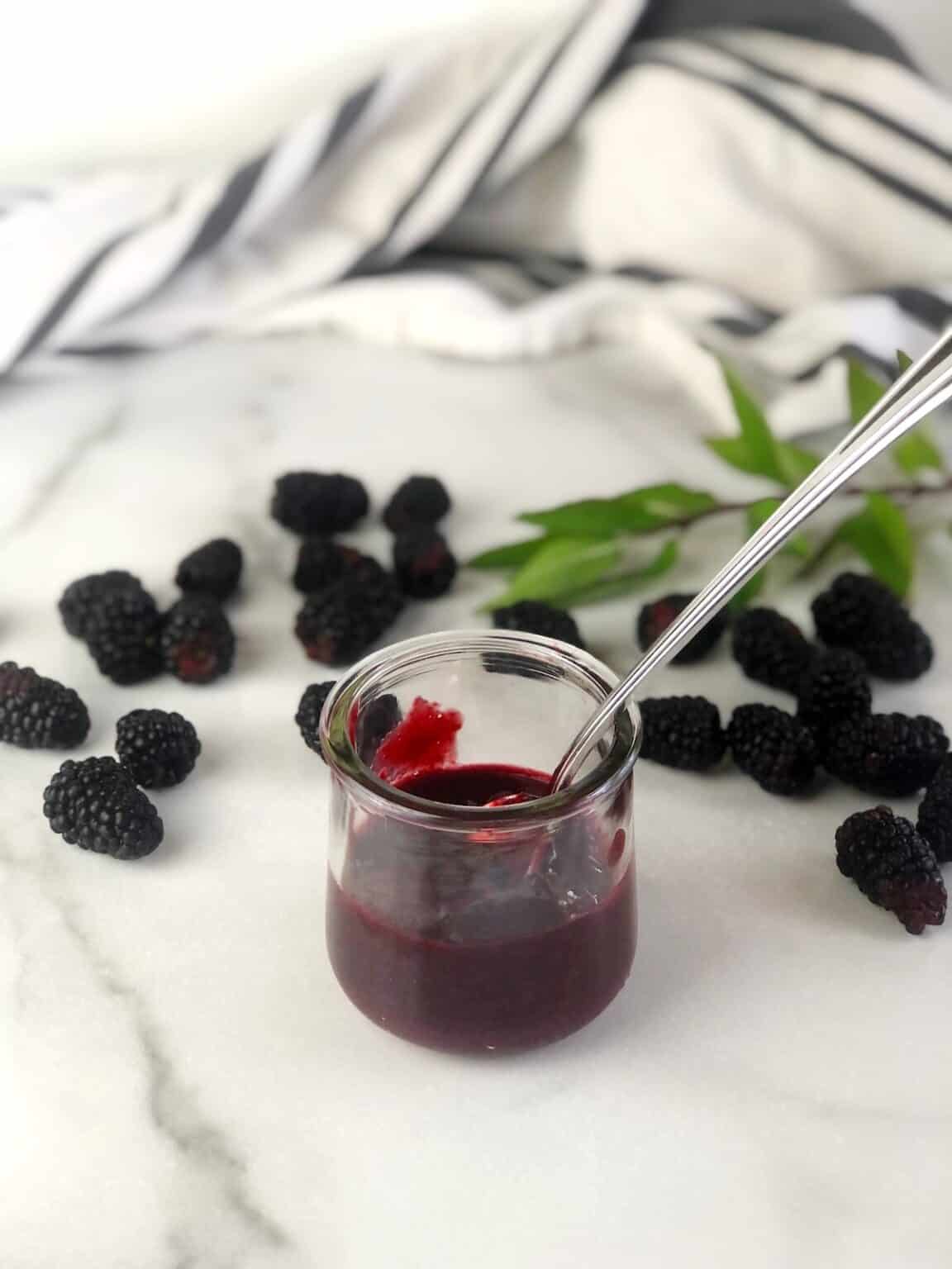 Blackberry Puree (Easy No-Cook Recipe) • Keeping It Simple Blog