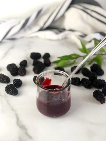 Blackberry Puree (Easy No-Cook Recipe) • Keeping It Simple Blog