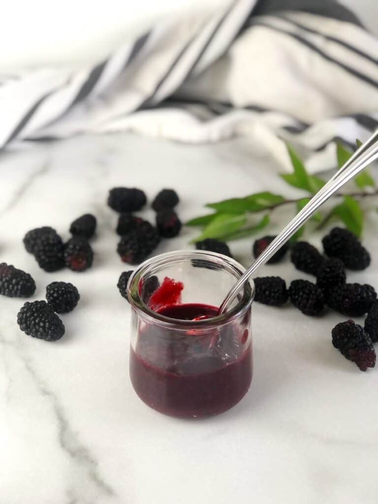 Blackberry Puree (Easy No-Cook Recipe) • Keeping It Simple Blog