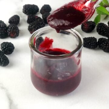 Blackberry Puree (Easy No-Cook Recipe) • Keeping It Simple Blog