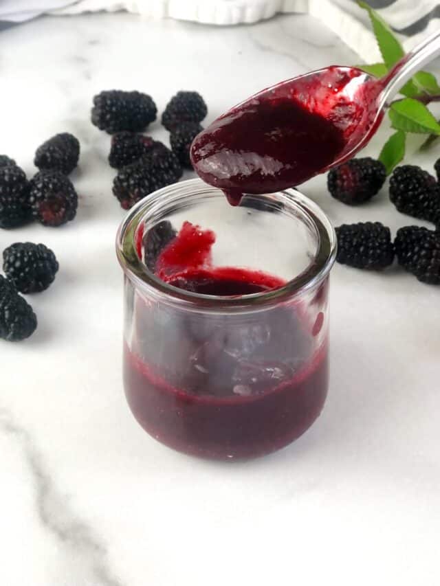 Blackberry Puree (Easy No-Cook Recipe) • Keeping It Simple Blog