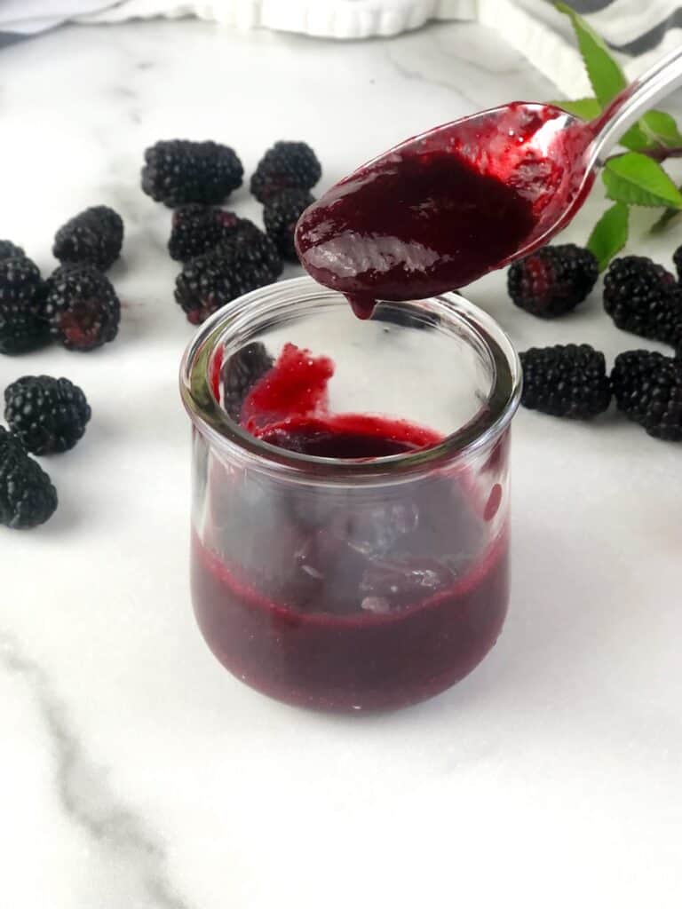 Blackberry Puree (Easy No-Cook Recipe) • Keeping It Simple Blog