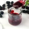 Blackberry Puree (Easy No-Cook Recipe) • Keeping It Simple Blog
