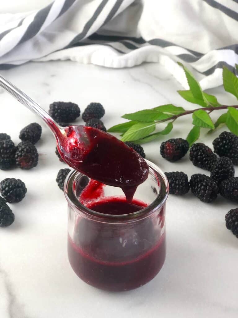 Blackberry Puree (Easy No-Cook Recipe) • Keeping It Simple Blog