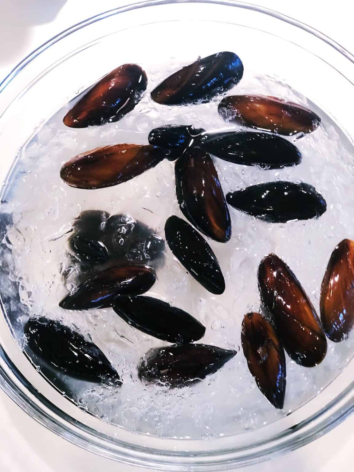 Spanish Mussels (Mussels with Chorizo) • Keeping It Simple Blog